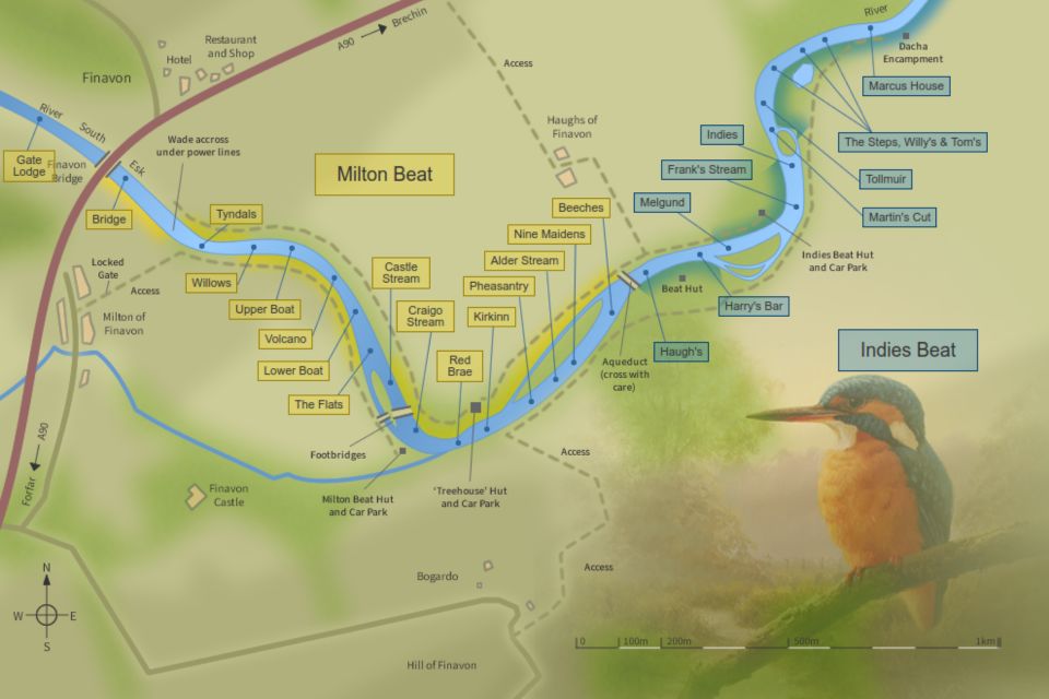 Finavon Castle Water - Homepage