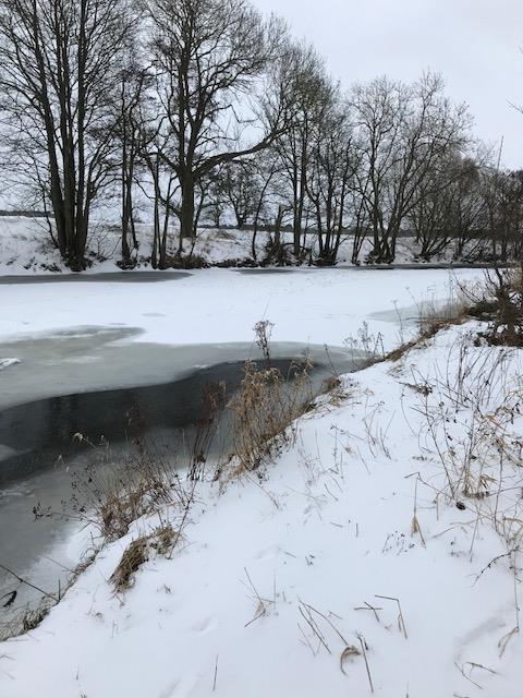 Finavon Castle Bulletin